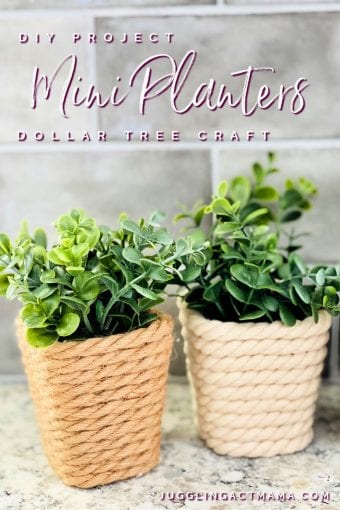 Mini DIY Dollar Tree Planter - Juggling Act Mama