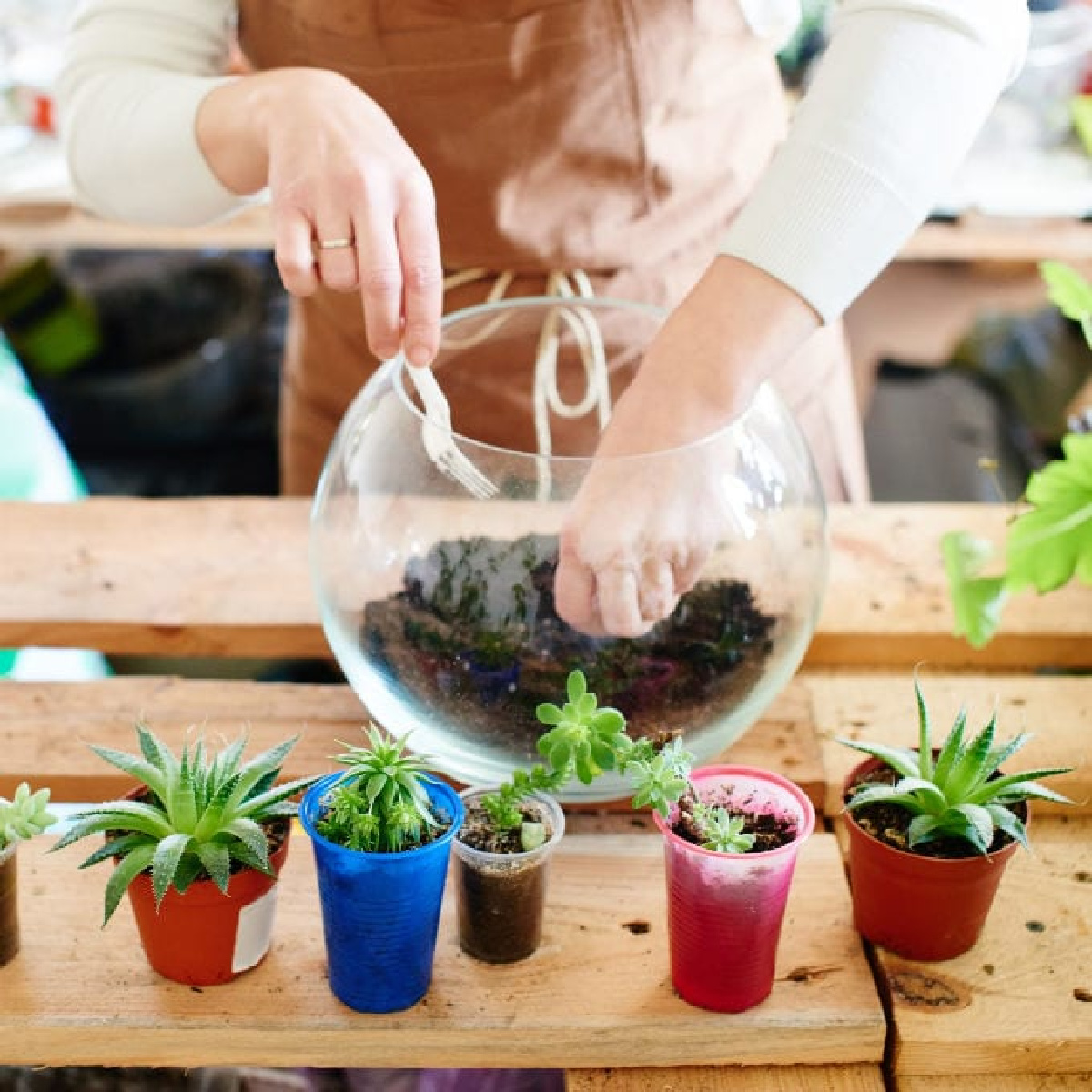 Diy Succulents Terrariums How To How To Make A Sand Terrarium