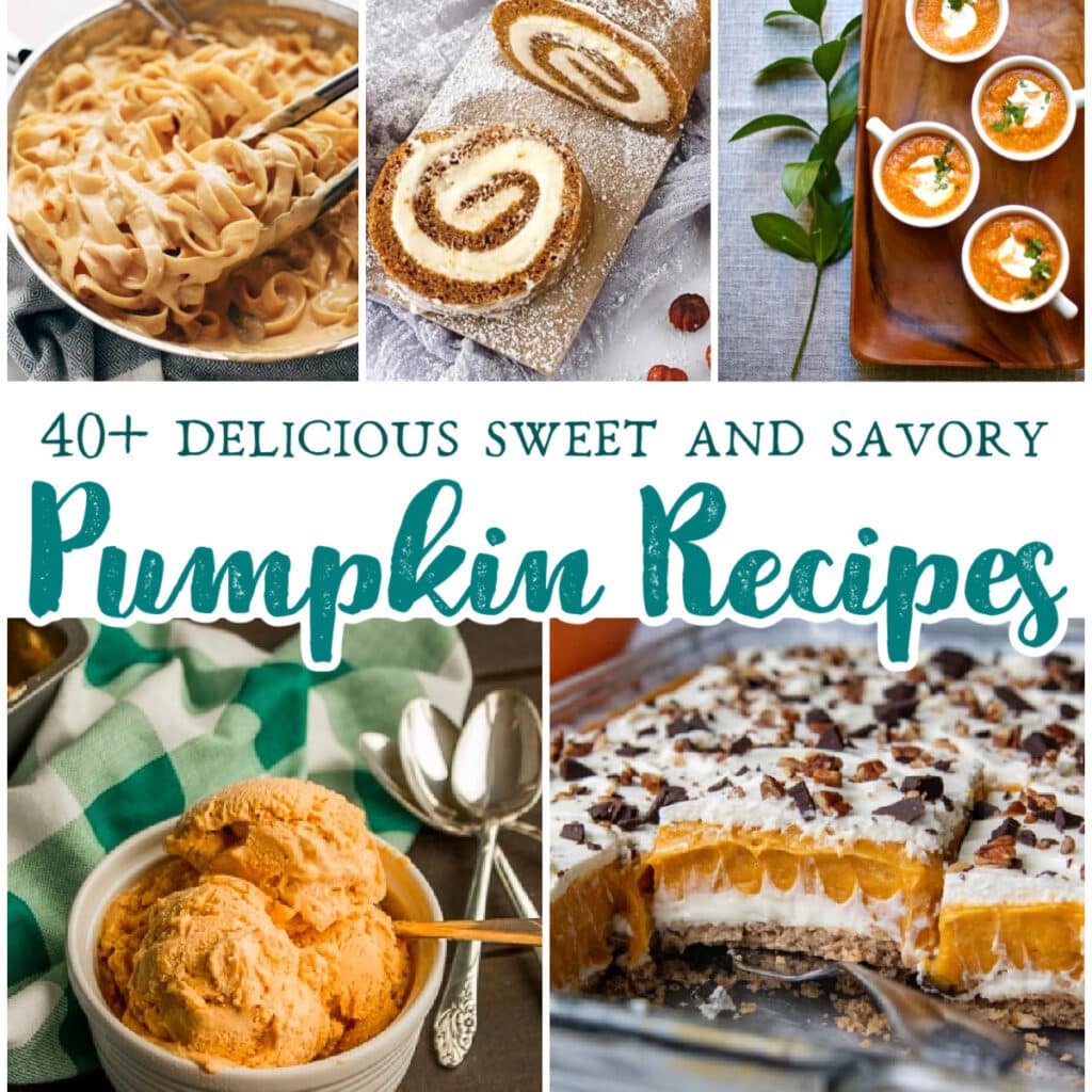 Delicious Pumpkin Recipes - Juggling Act Mama