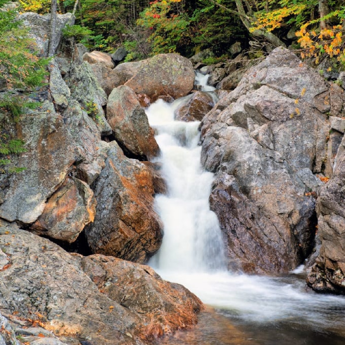 Plan Your Day Trip to Glen Ellis Falls NH - Juggling Act Mama